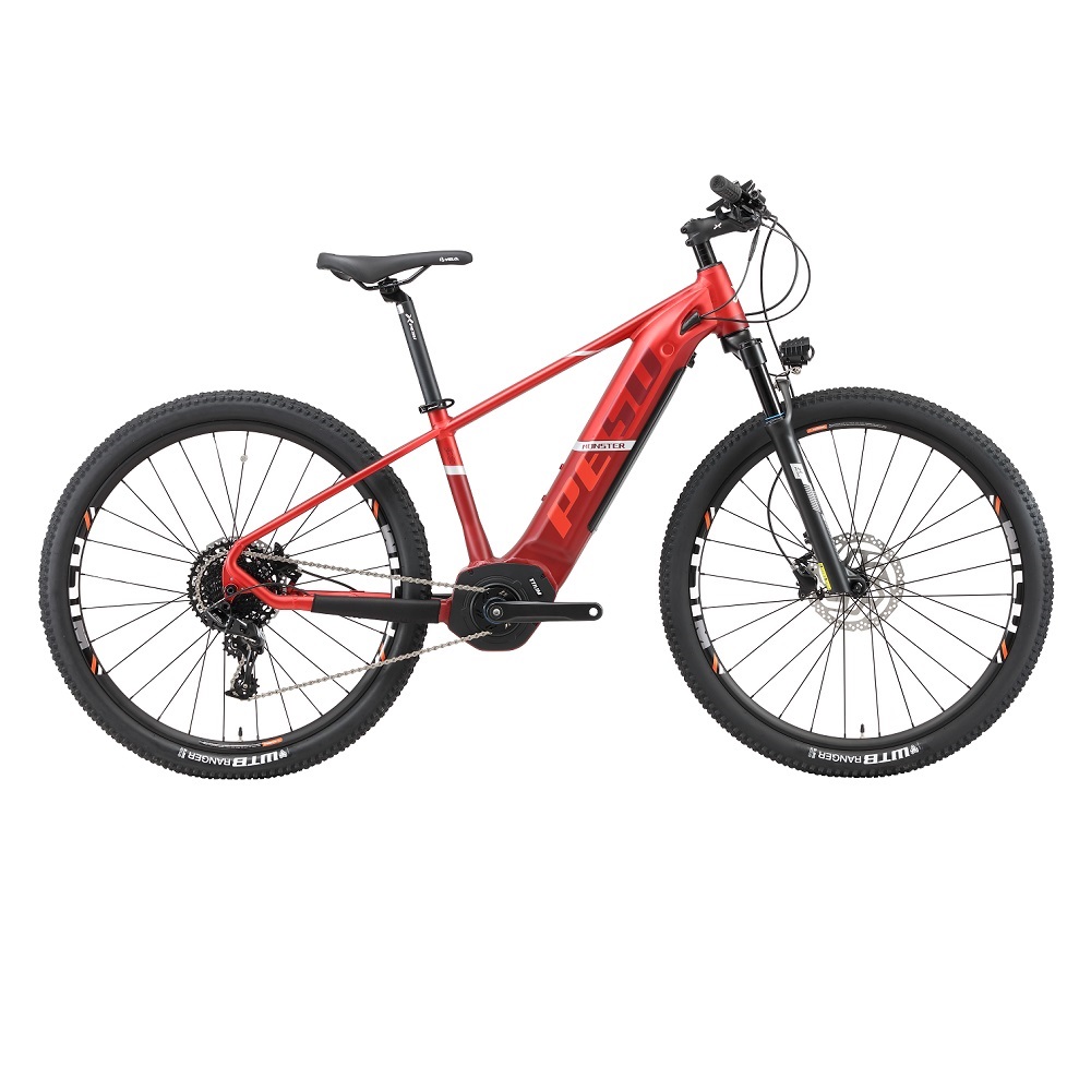 XE ĐẠP TRỢ LỰC ĐIỆN PESU XC MONSTER PLUS